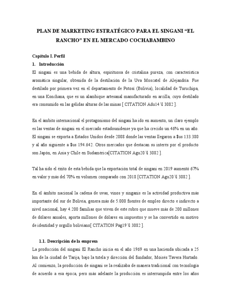 Trabajo Final - Pg1 | PDF | Análisis FODA | Marketing