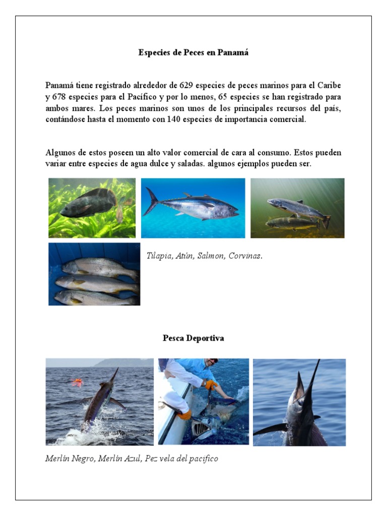 Especies de Peces en Panamá | PDF