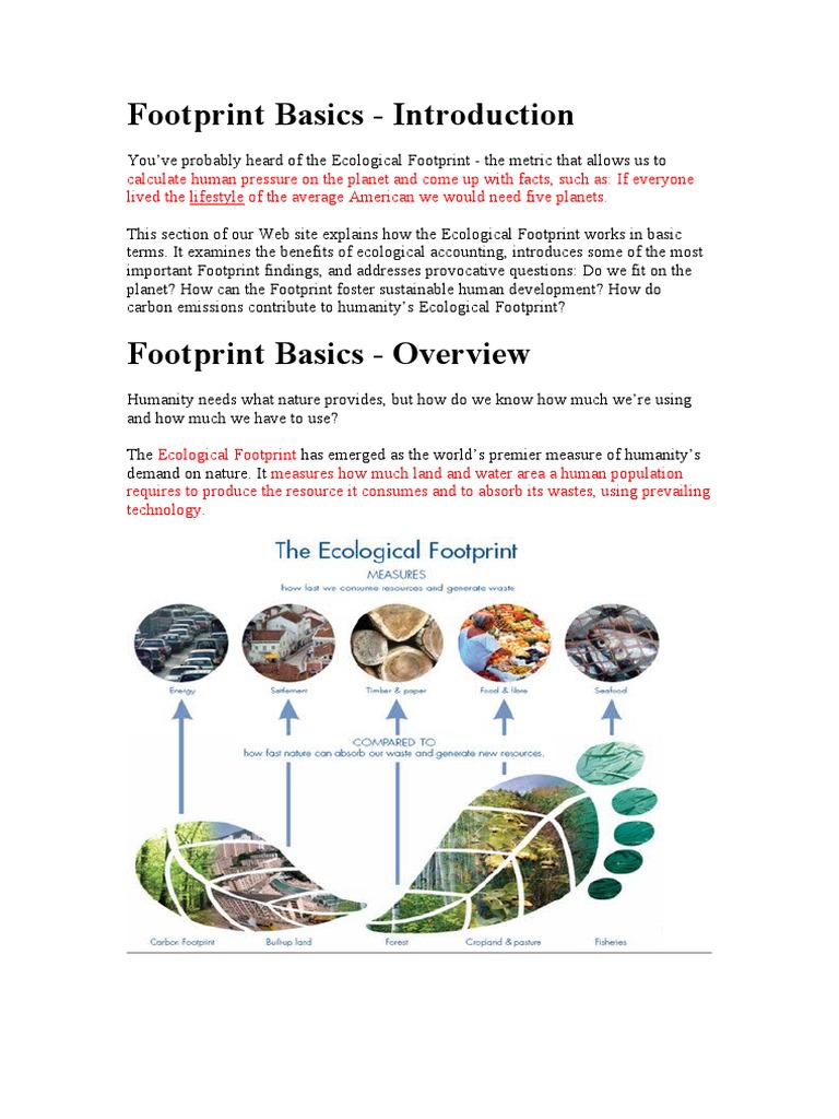 Ecological Footprint Basics | PDF | Resource | Sustainability
