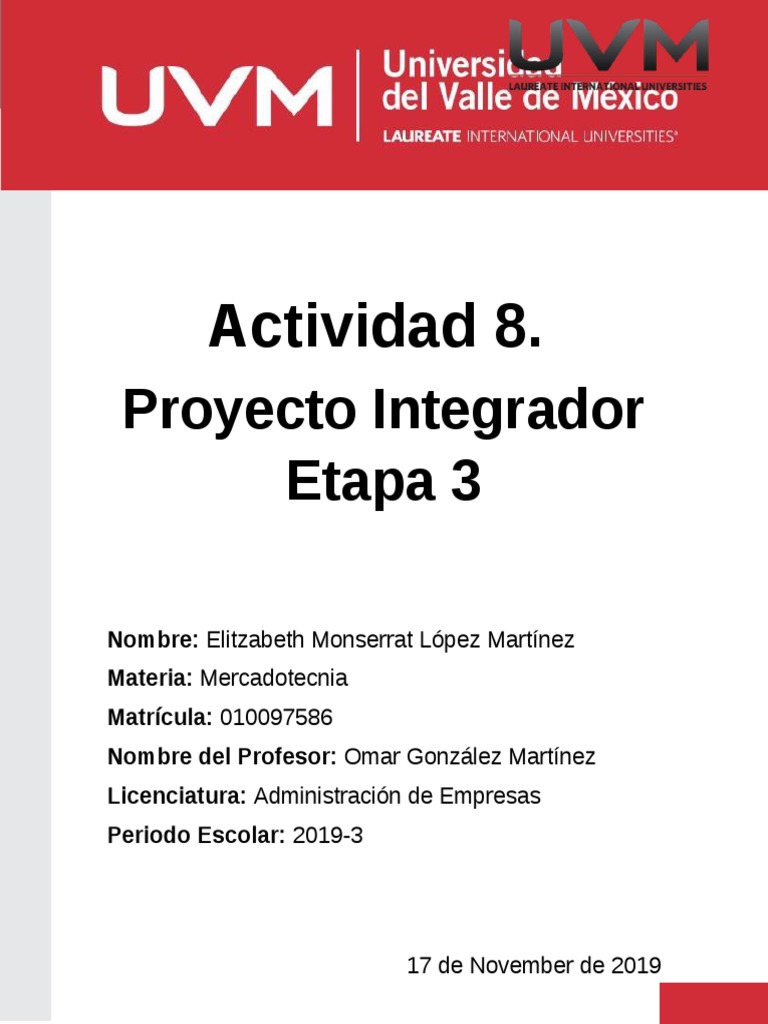 A8 Proyecto Integrador Etapa 3 EMLM | PDF | Sony | Producto (Negocio)
