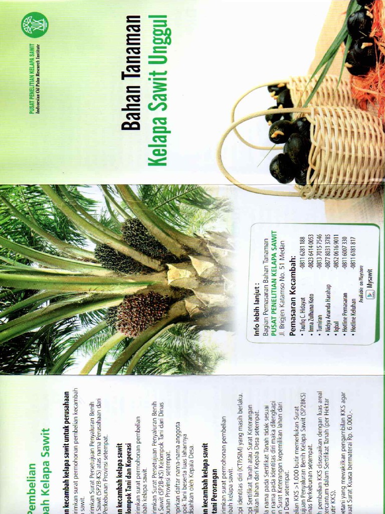 Brosur Bibit Sawit | PDF