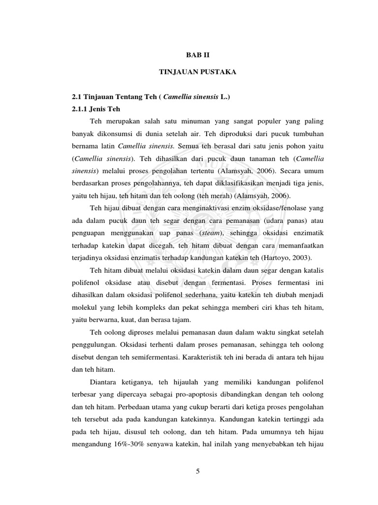 Jiptummpp GDL Andiilhamp 50861 3 Babii | PDF | Kesehatan Holistik