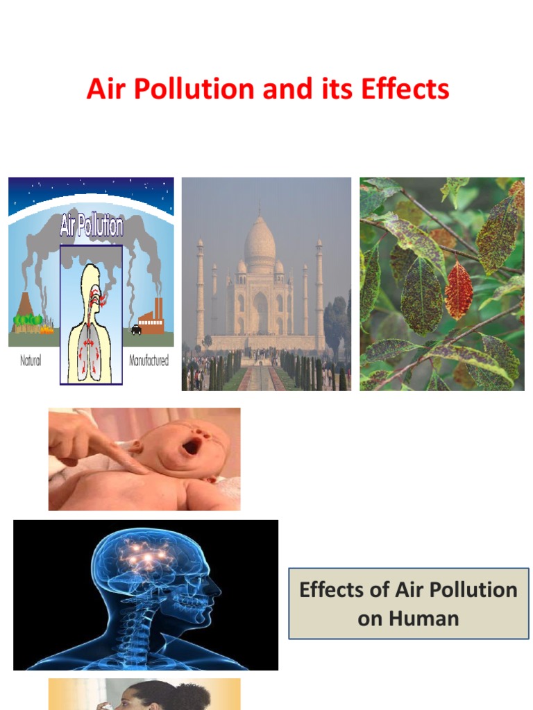 Air Pollution Effects | PDF | Particulates | Air Pollution