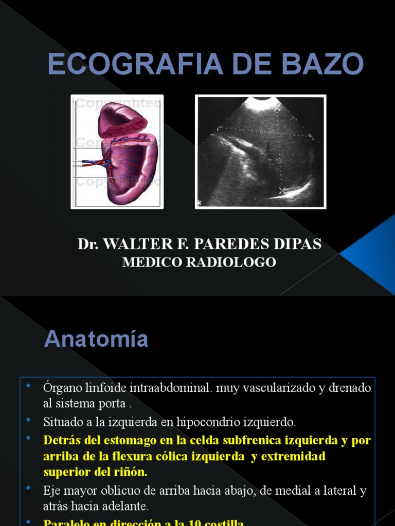 Modulo III - Ecografia de Bazo | PDF | Bazo | Ultrasonido médico