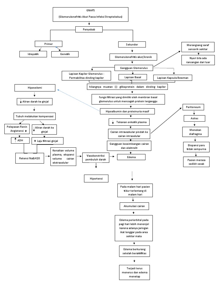 GNAPS (Glomerulonefritis Akut Pasca Infeksi Streptokokus) | PDF