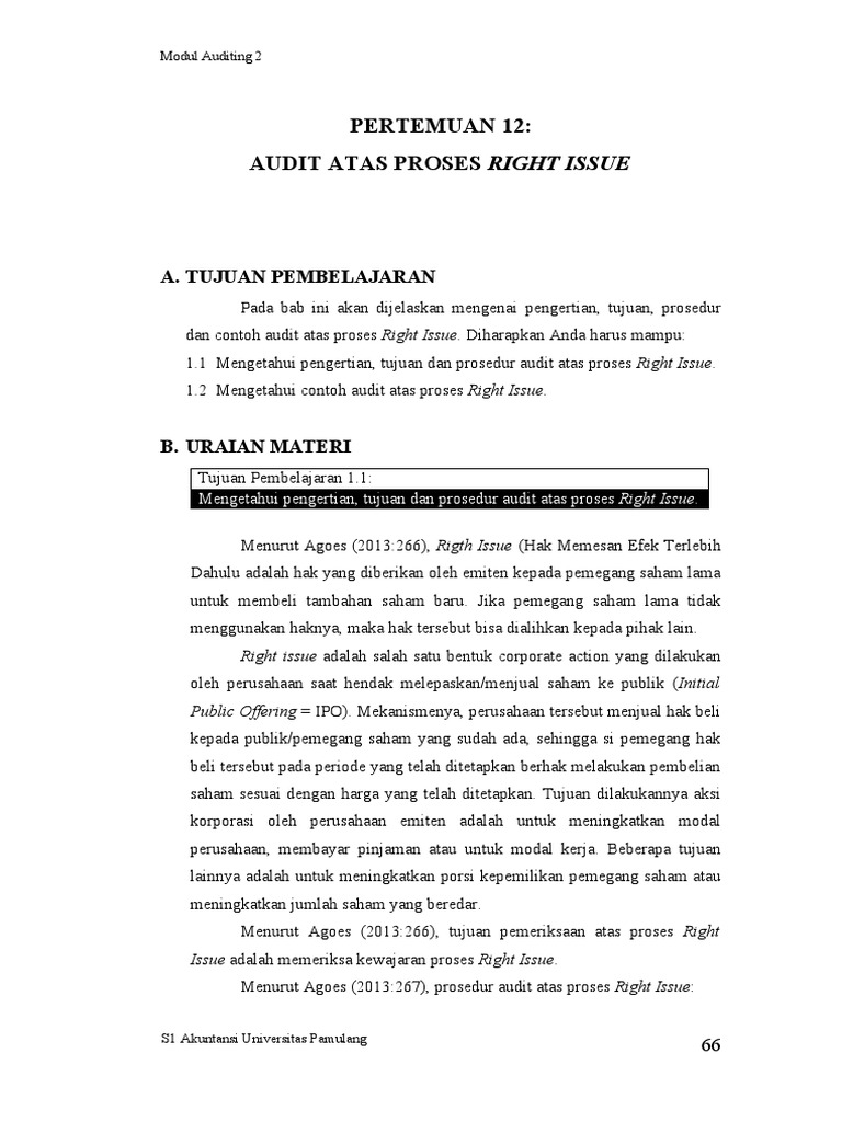 AUDITING RIGHT ISSUE | PDF