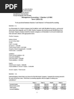 Ssg Financial Statement | PDF