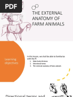 Animal Science Terminologies | PDF | Sheep | Horse Breeding