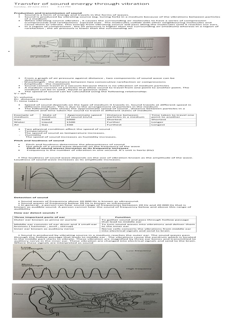 Transfer of Sound Energy Through Vibration | PDF | Ear | Sound