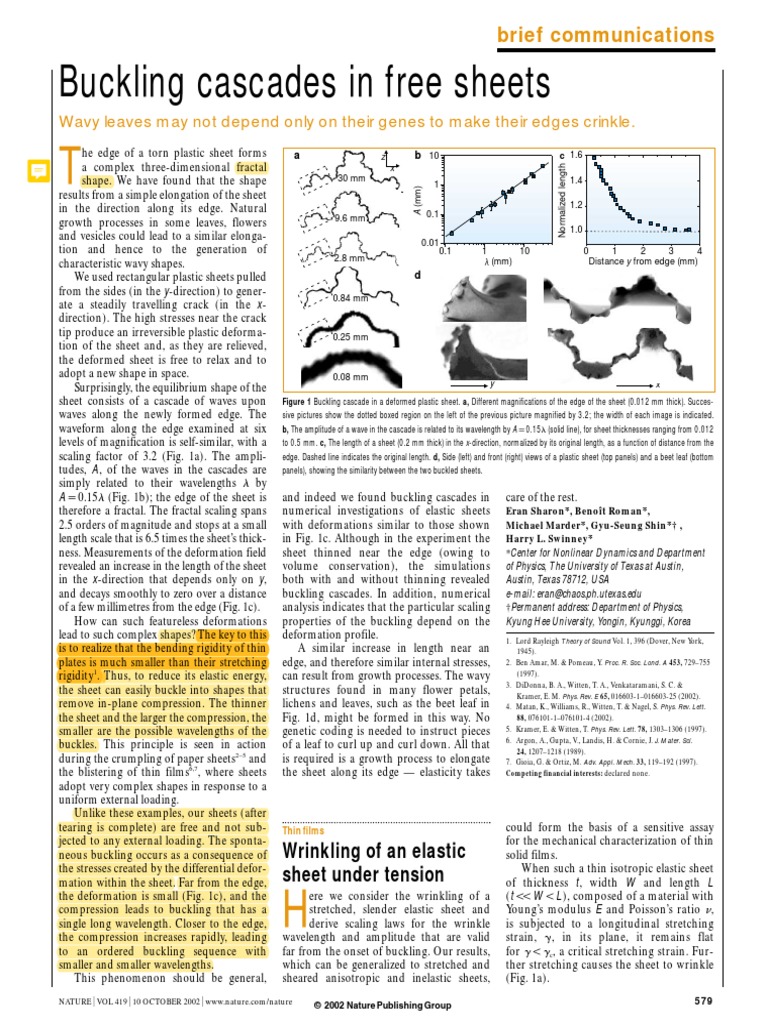 Buckling of Sheets | PDF | Buckling | Elasticity (Physics)