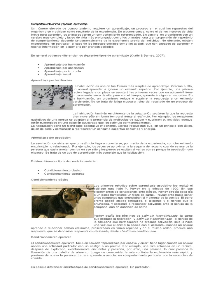 Comportamiento Animal y Tipos de | PDF | Comportamiento | Instinto