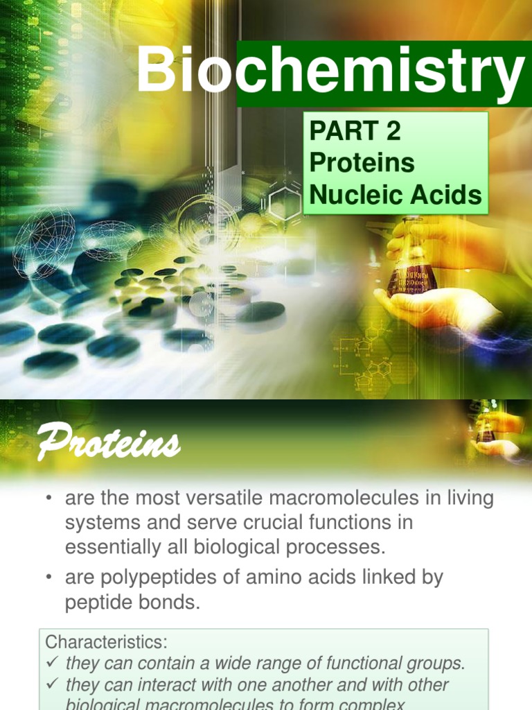 Biochemistry: Proteins Nucleic Acids | PDF | Nucleotides | Protein ...