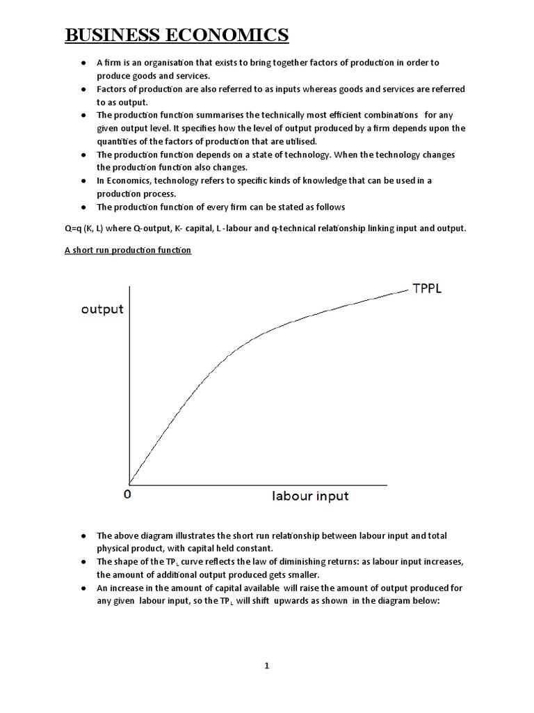 Business Economics | PDF | Production Function | Demand