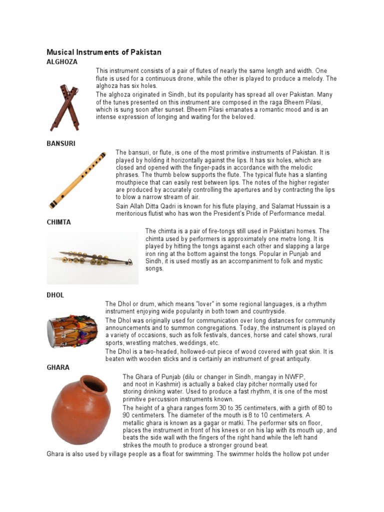 Musical Instruments of Pakistan | PDF | Musical Instruments | String ...