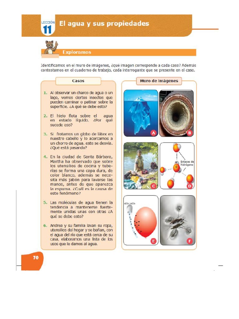 Lección 11.- El Agua y Sus Propiedades | PDF