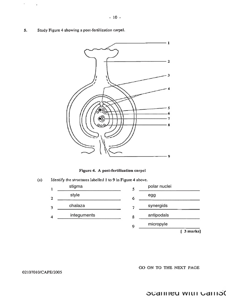 Reproduction Worksheet | PDF