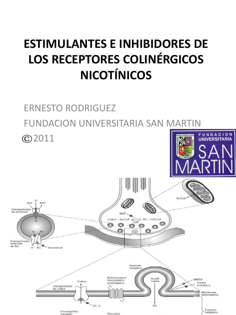 Estimulantes e Inhibidores de Los Receptores Colinergicos Nicotinicos ...