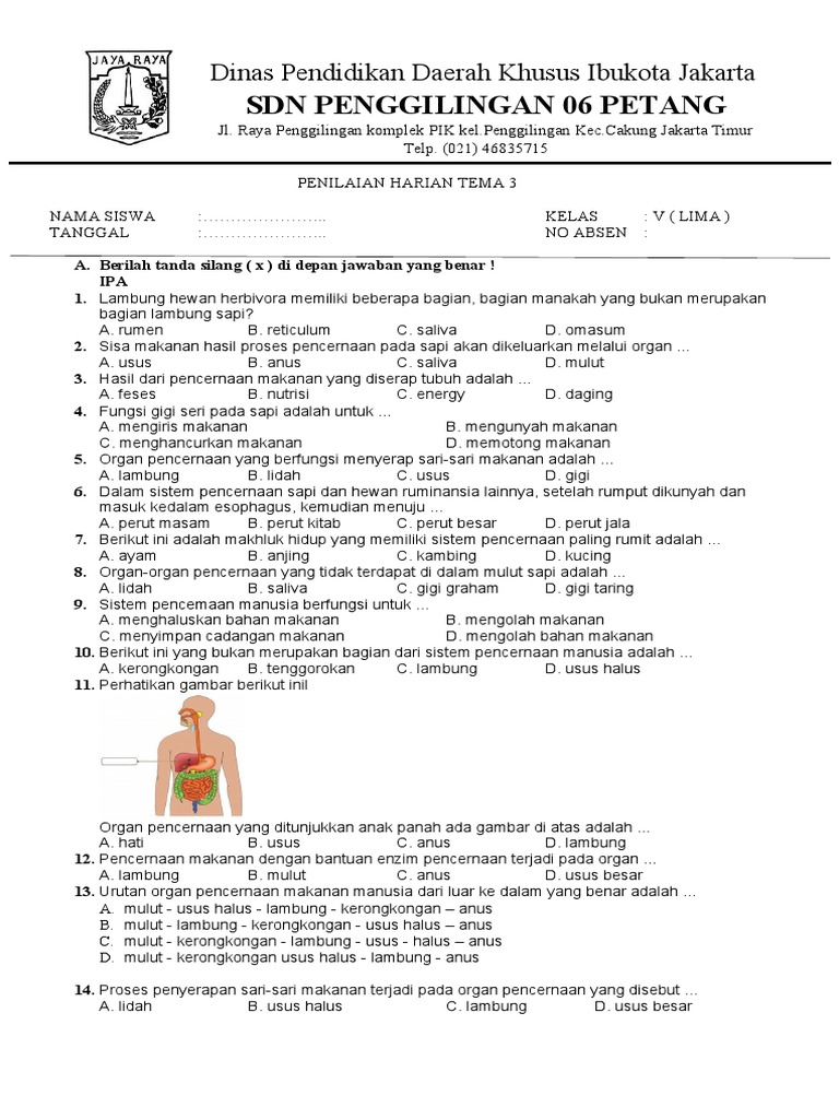 Soal Ulangan PH Tema 3 | PDF
