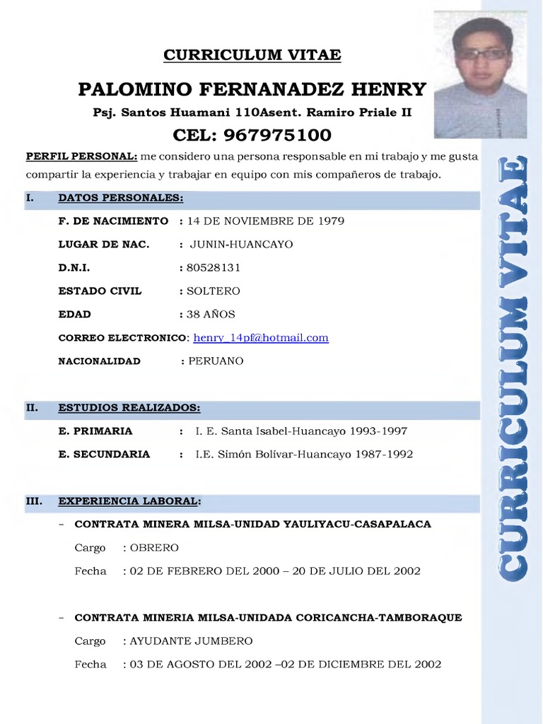 Palomino Fernanadez Henry: Curriculum Vitae | PDF | Business