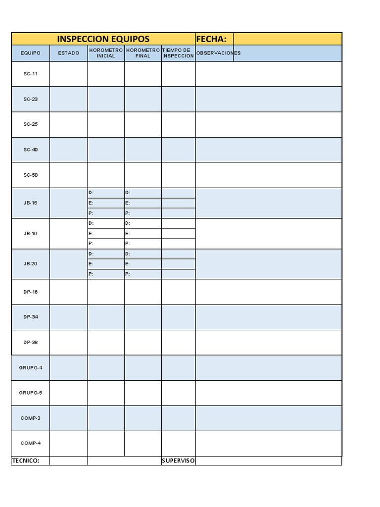 Formato Inicial Inspeccion | PDF