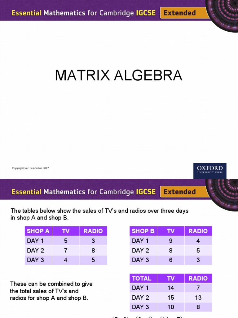 38-Matrix Algebra | PDF | Matrix (Mathematics) | Determinant