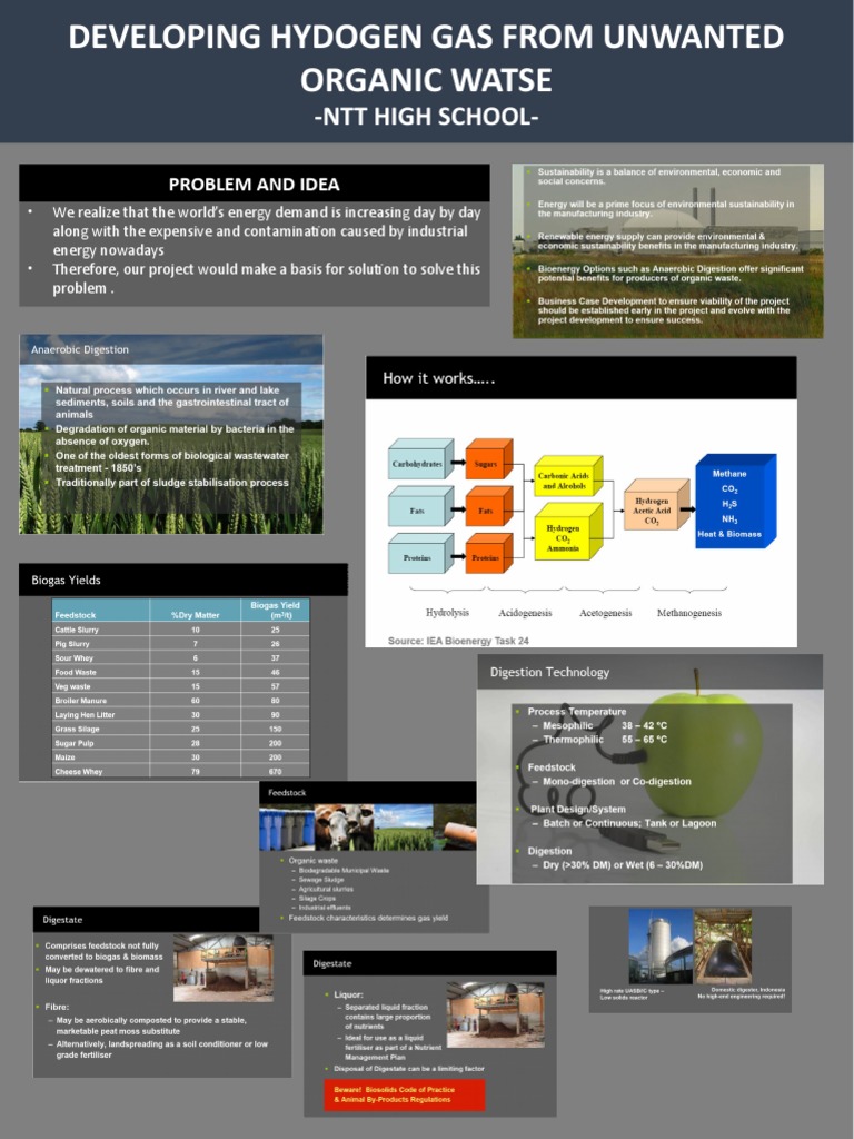 Poster - Developing Hydrogen Gas From Unwanted Orrganic Waste | PDF