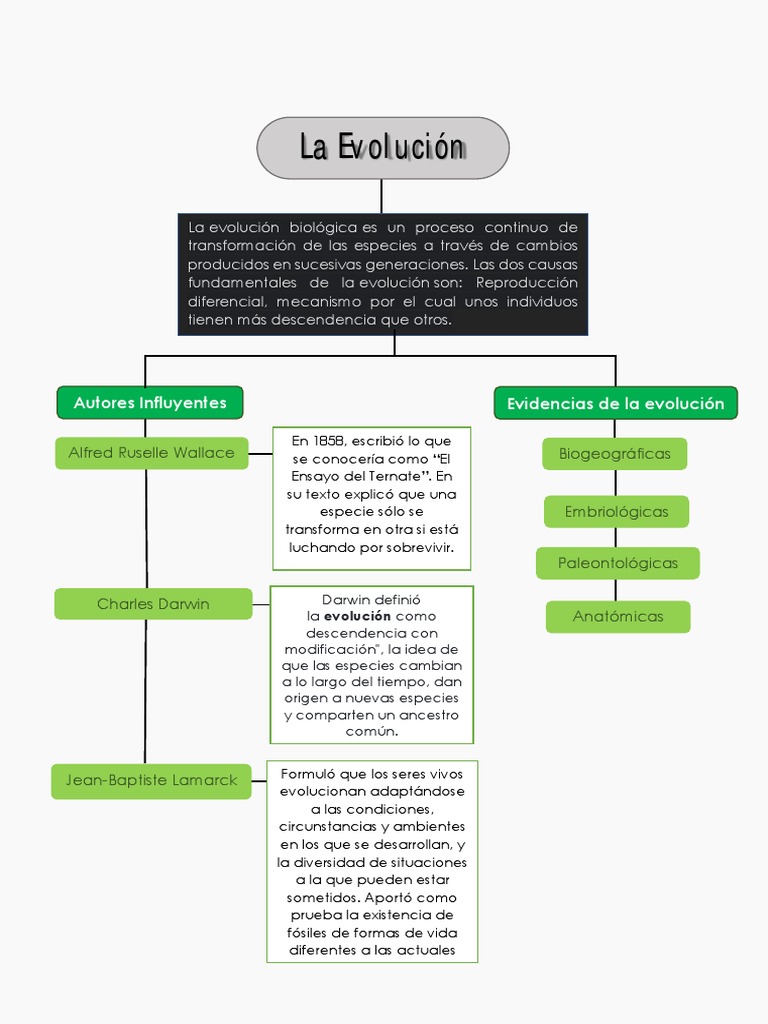 La Evolución de Las Especies - Mapa Conceptual | PDF | Evolución | Especies