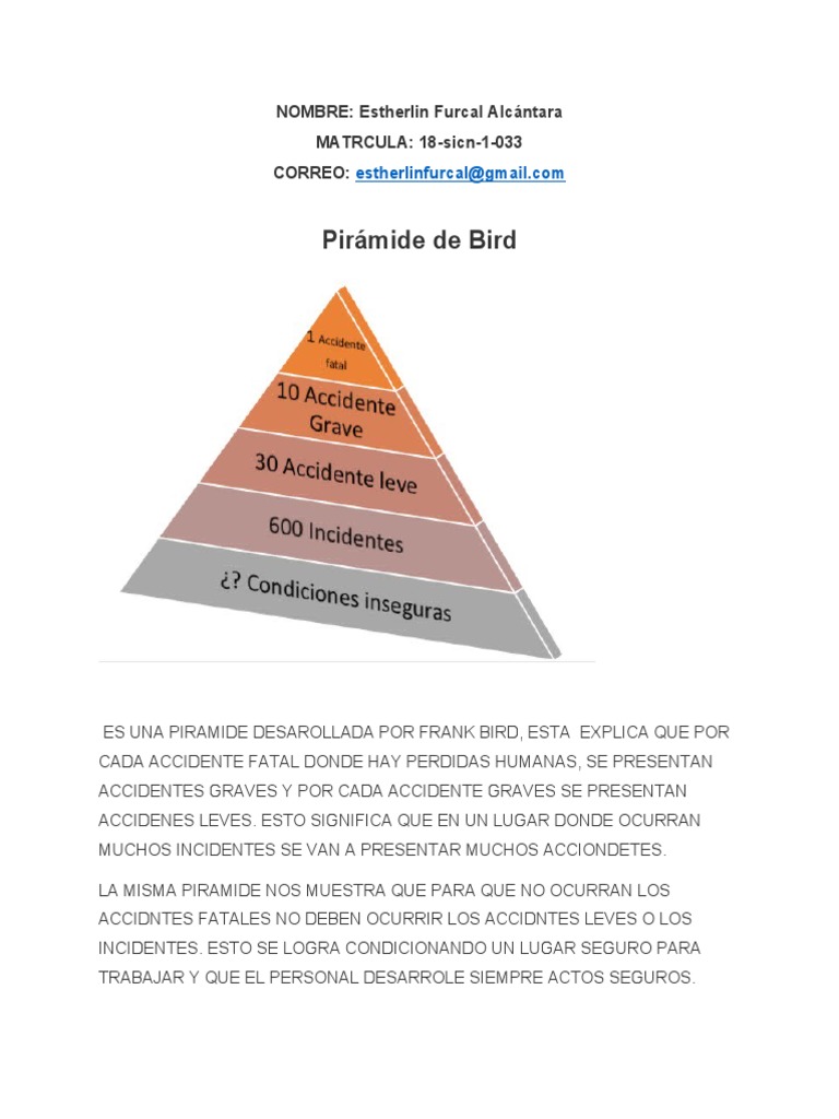 Pirámide de Bird: Seguridad Laboral | PDF