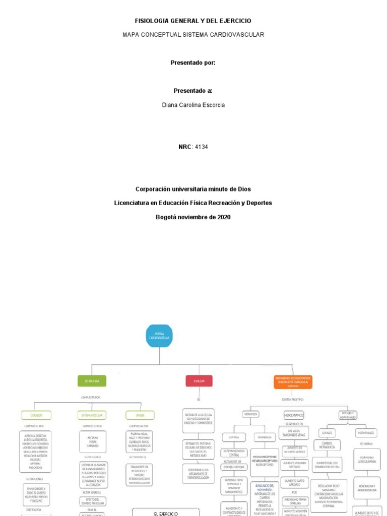 FISIOLOGIA GENERAL Y DEL EJERCICIO Mapa Conceptual | PDF
