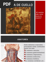 Arterias Faríngea y Occipital | PDF | Artería | Sistema cardiovascular