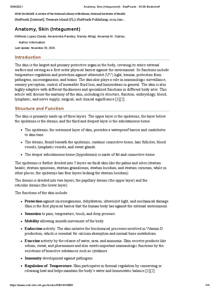 Anatomy, Skin (Integument) - StatPearls - NCBI Bookshelf | PDF | Skin ...