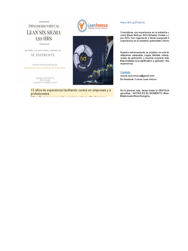 Formato A3 Instituto Lean Innova | PDF | Business | Negocios (general)