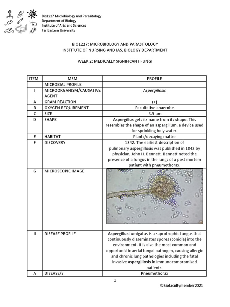 Medically Significant Bacteria | PDF | Aspergillus | Infection