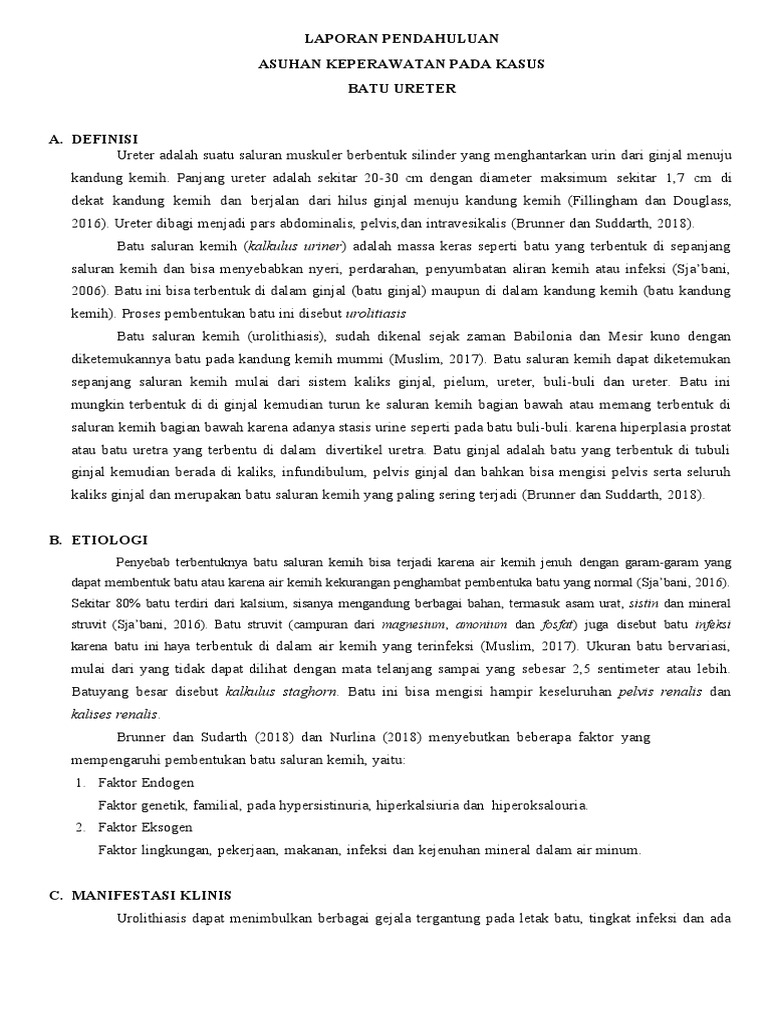 Batu Ureter | PDF