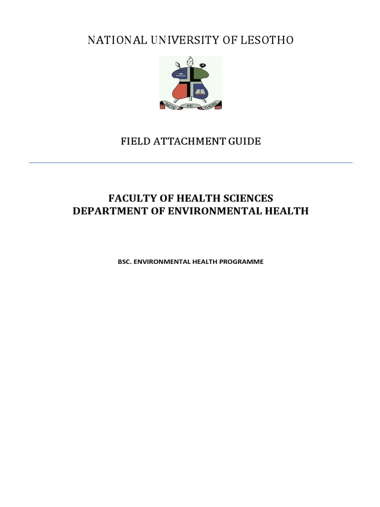 Attachment Assessment Form | PDF | Environmental Health | Learning