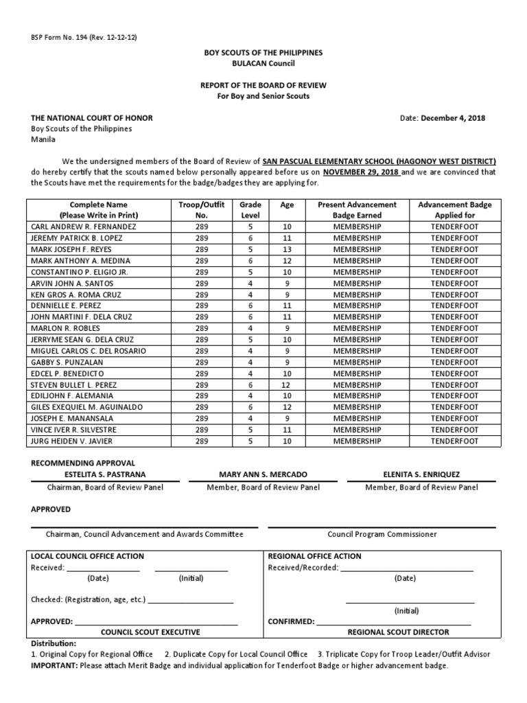 Board of Review (Template) | PDF | Girl Guiding And Girl Scouting ...
