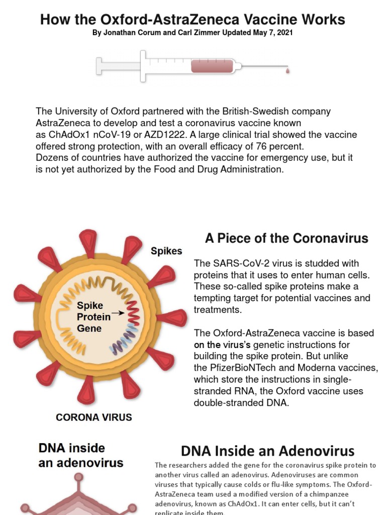 How The Oxford-AstraZeneca Vaccine Works | PDF | Adenoviridae | Virus