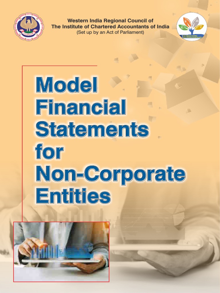 Model Financial Statements For Non-Corporate Entities | PDF | Financial ...