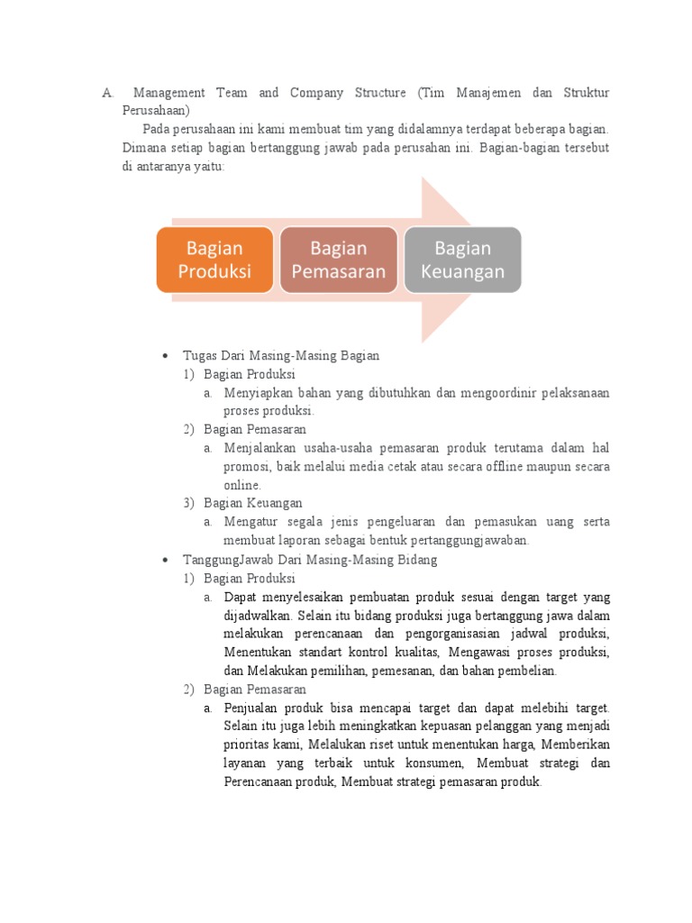 Management Team and Company Structure | PDF