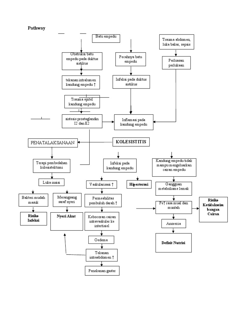 Pathway Kolelitiasis | PDF