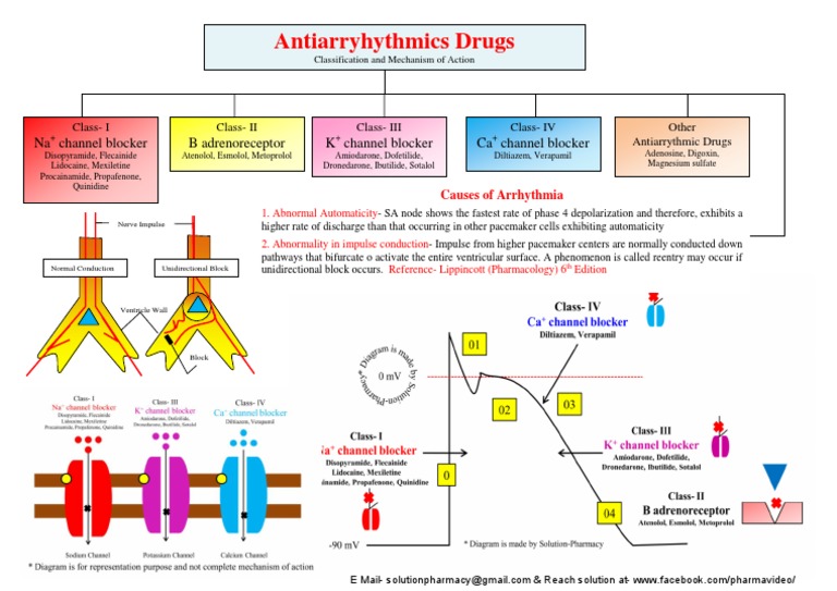 Antiarrhythmic Drugs - Classification and Mechanism of Action. | PDF
