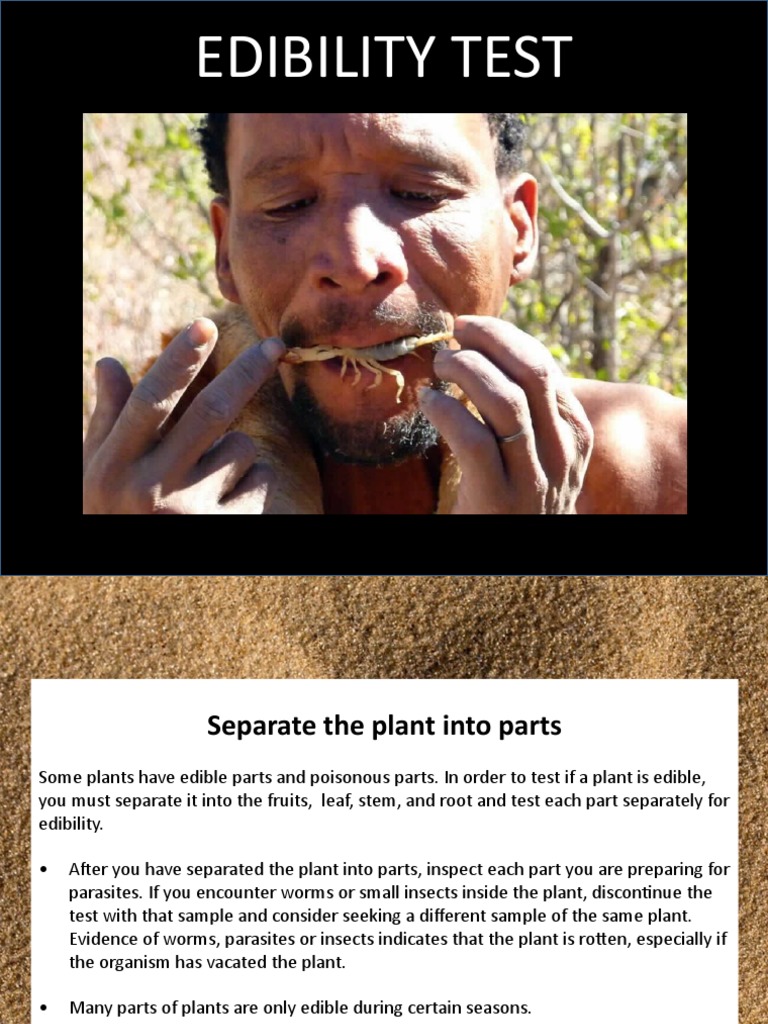 Edibility Test Presentation | PDF | Plants | Nature