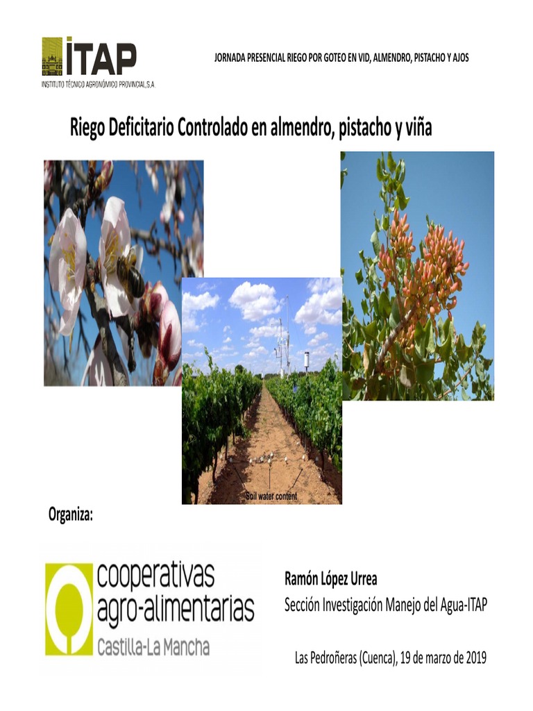 Riego Deficitario Controlado en Almendro | PDF | Escasez de agua | Riego