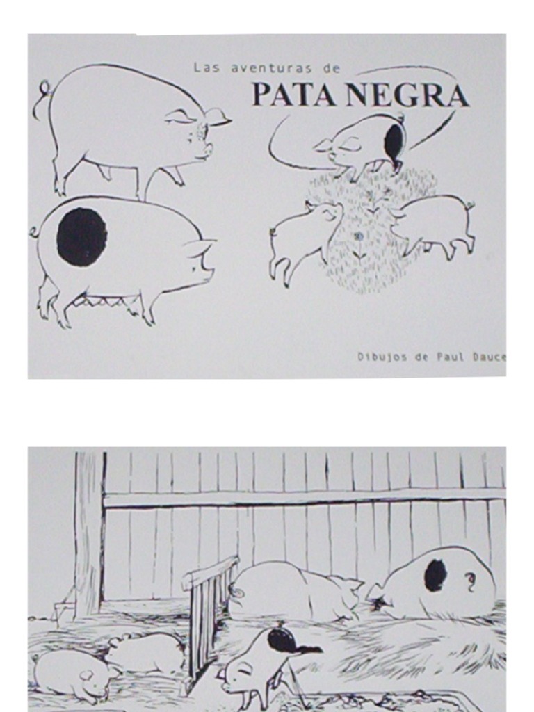 Laminas Test Pata Negra PDF | PDF