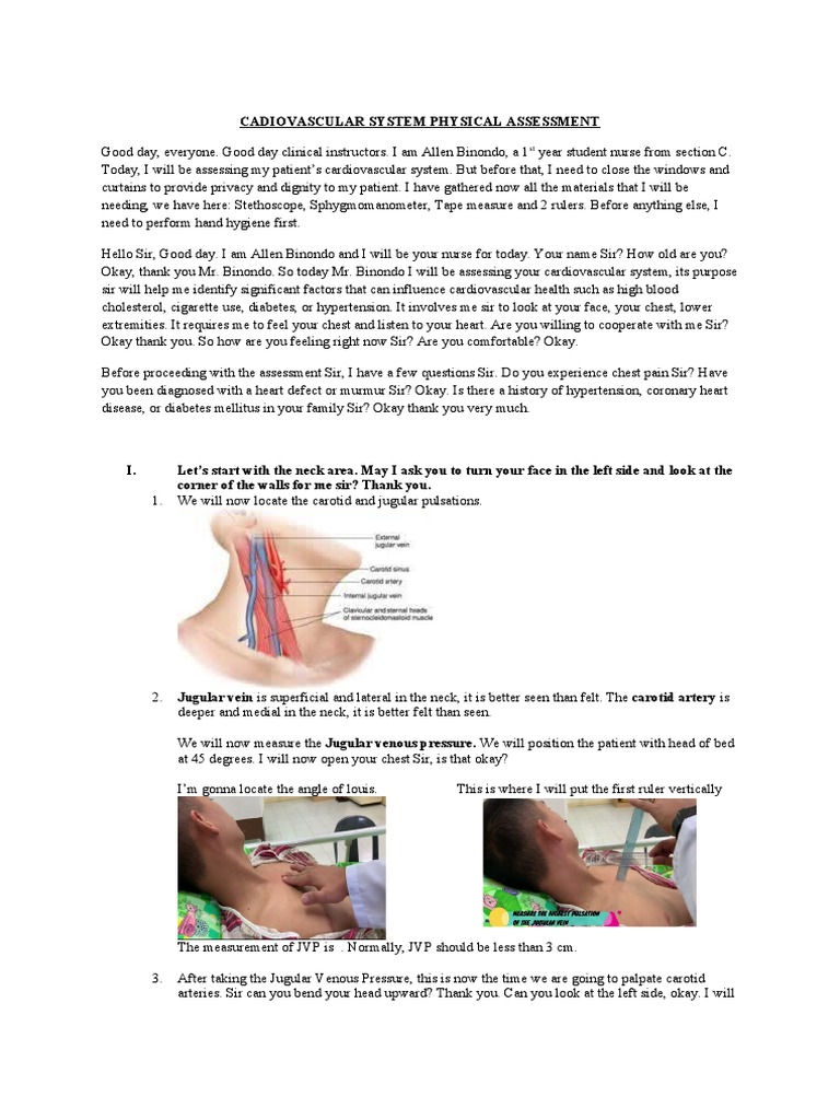 Cardiovascular System Physical Assessment | PDF | Pulse ...