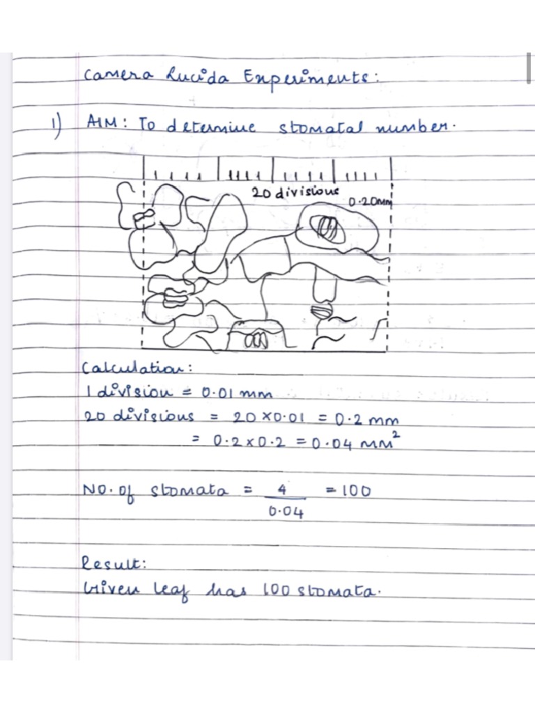 31 Cognosy Lab | PDF
