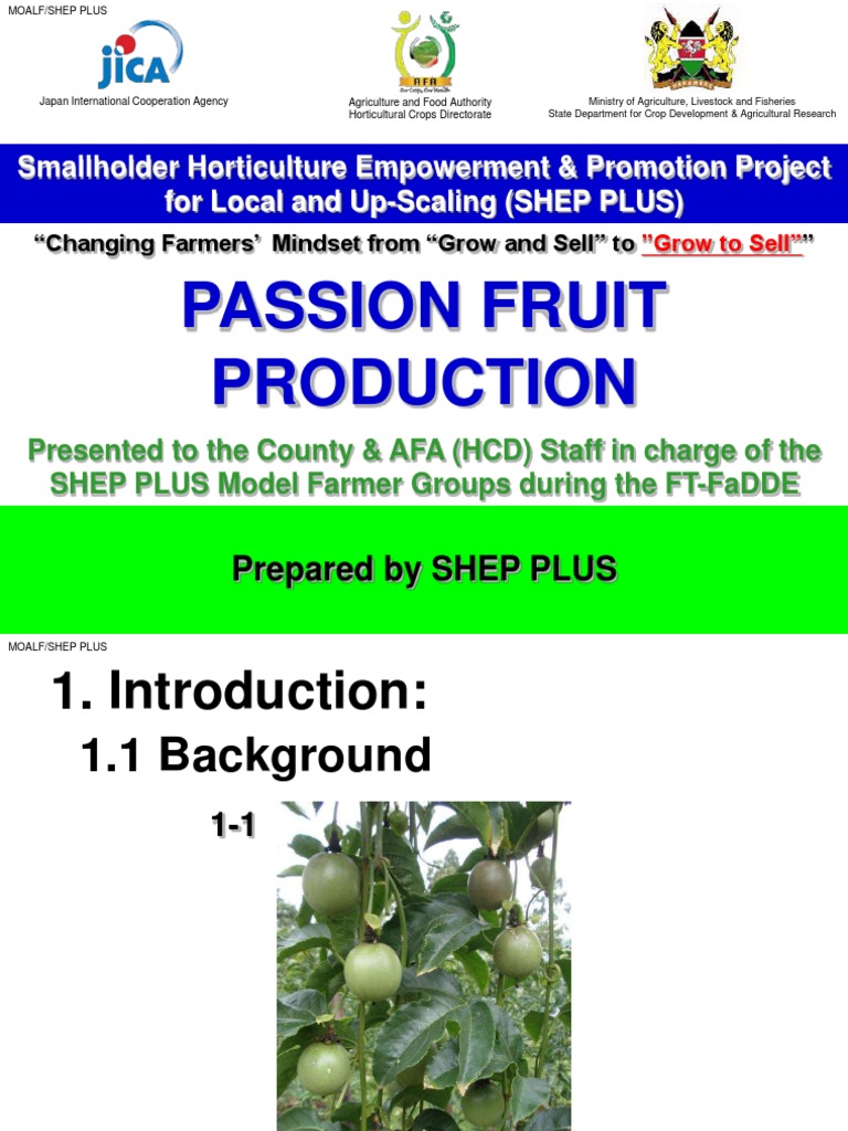 Granadilla Production Kenya | PDF | Grafting | Plant Nursery