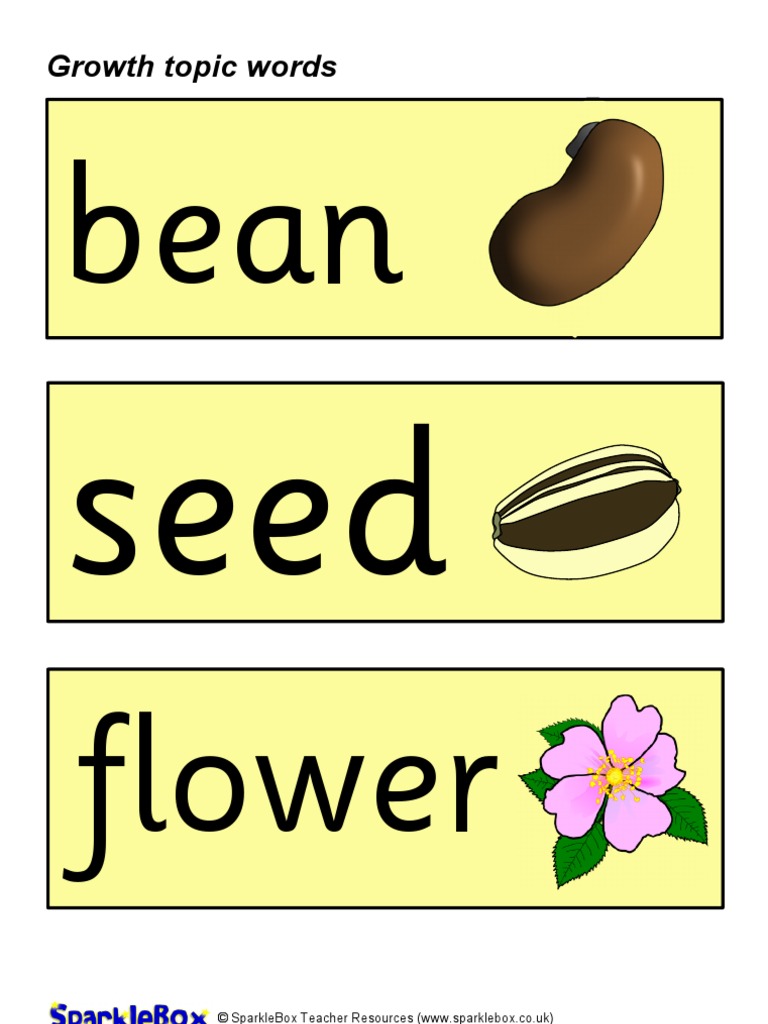 Flower: Growth Topic Words | PDF