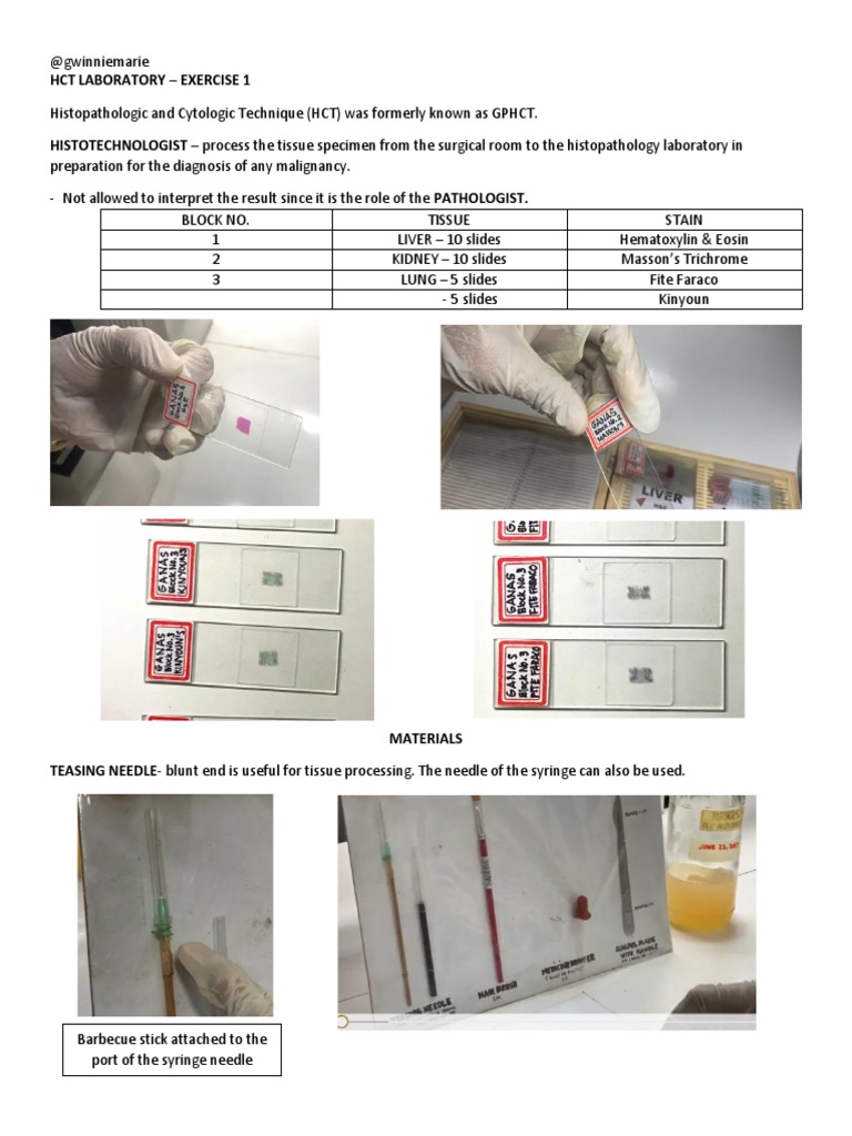 HCT Laboratory 1 | PDF | Histopathology | Histology
