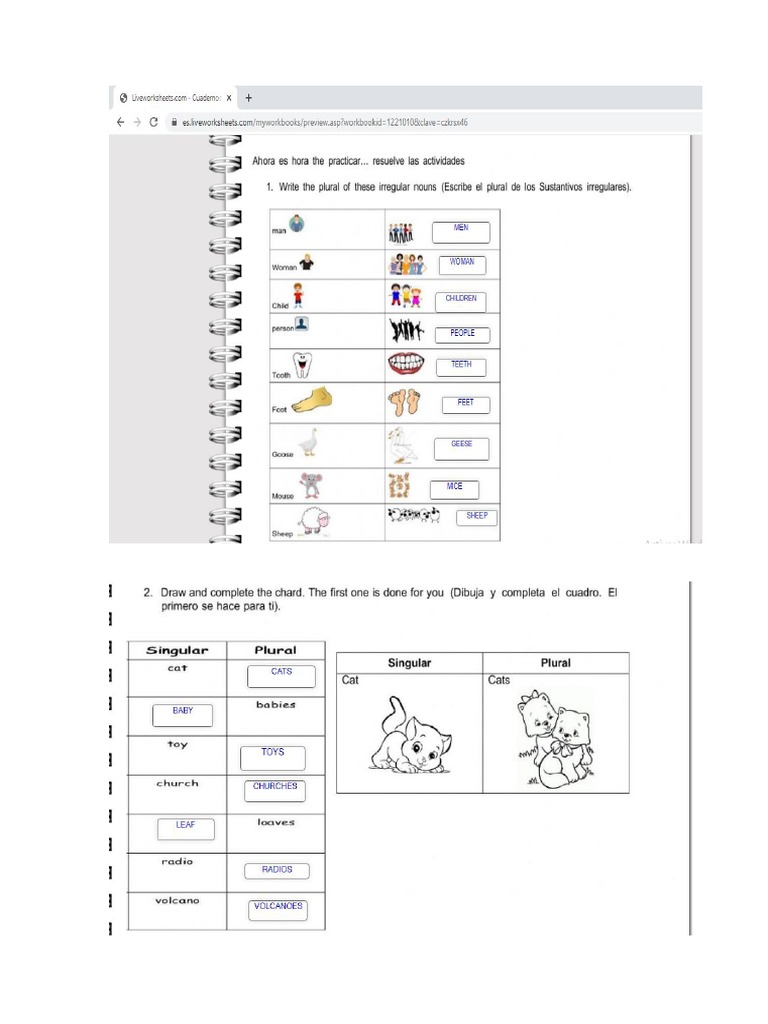grammar-exercises-plural-nouns-pdf